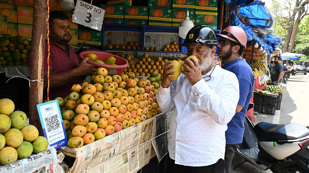 Mango Boom Online: Karnataka Farmers Tap Digital Sales Surge