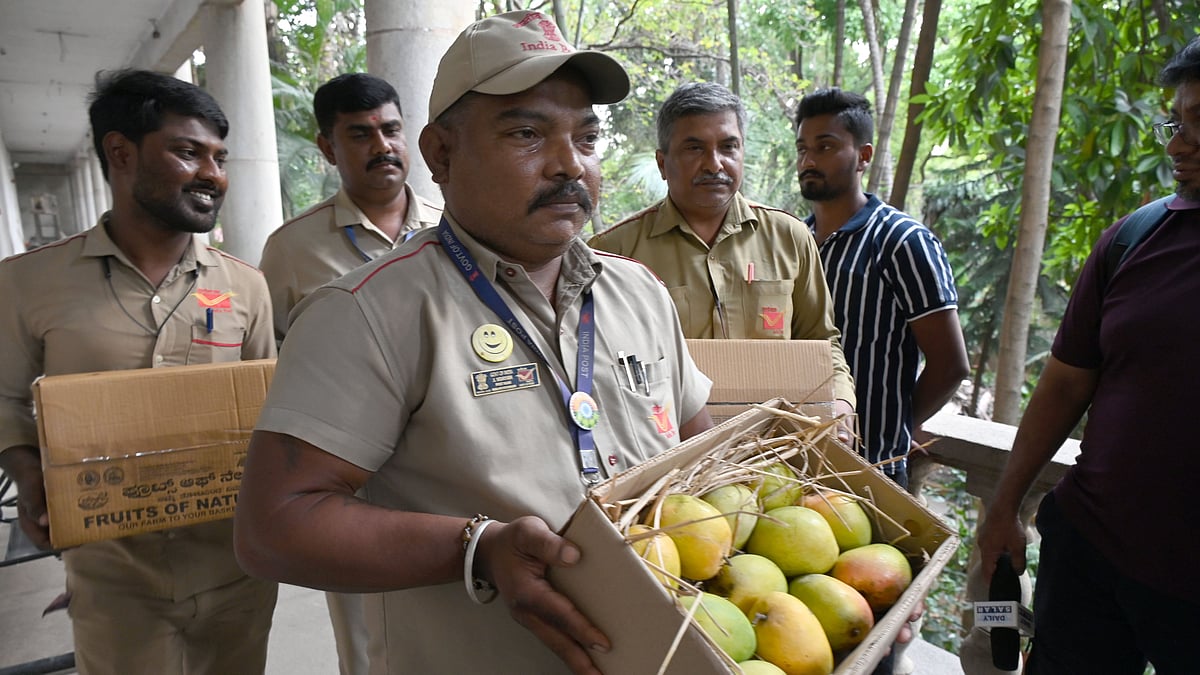 Bengaluru GPO to Deliver Karnataka Mangoes to Mumbai and Delhi