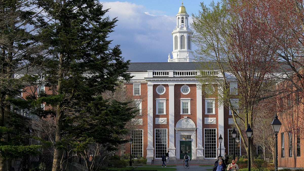 The ‘oil curse’ explains Harvard’s puzzling financial choices