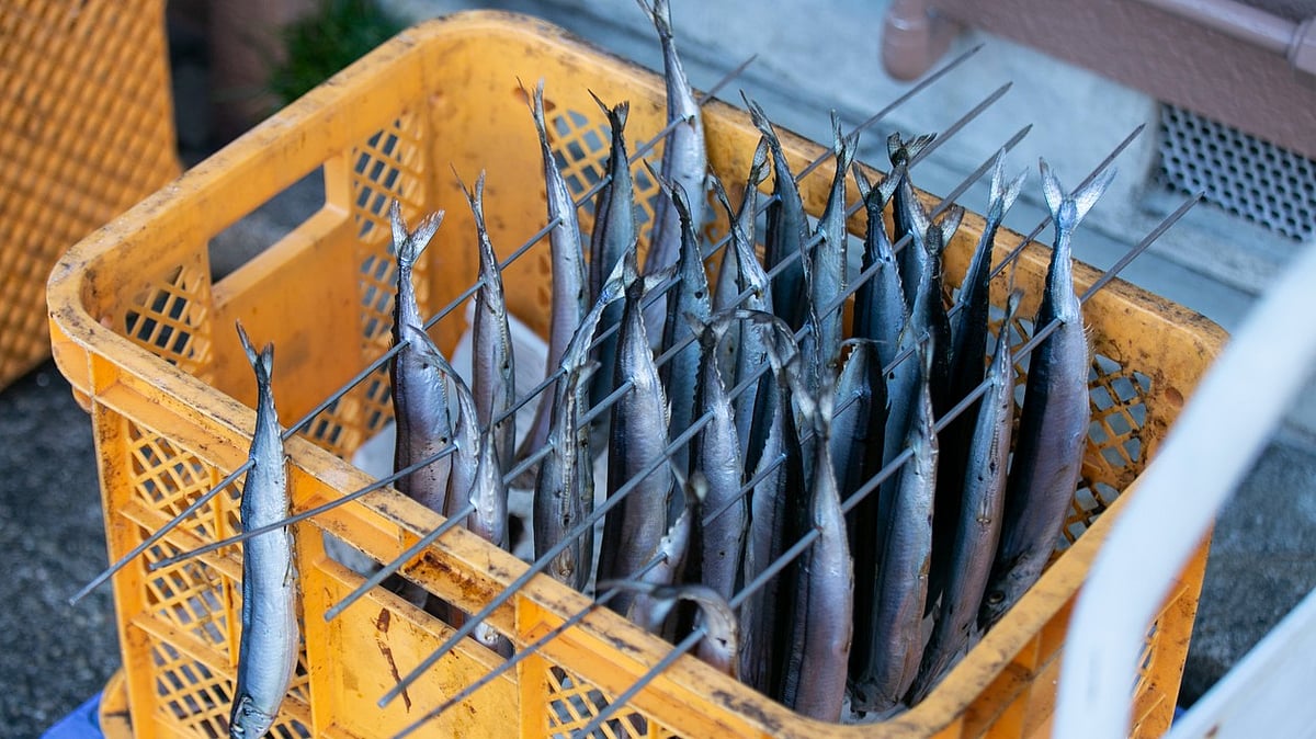 Fish for Football: Norwegian Trades 5kg Boknafisk for Bodo/Glimt vs ...