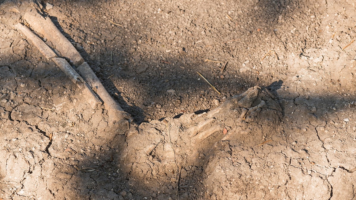 Human remains near Taylor Swift’s house fuels fears of a serial killer ...