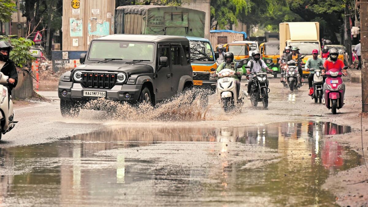 Bring back nature to Bengaluru’s rescue