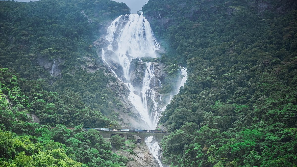 Monsoon Rescue: 5 Tourists Stranded at Karnataka Waterfall Saved by Locals