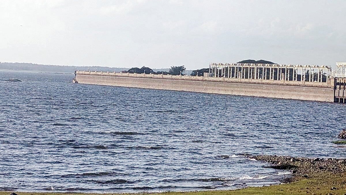 Cauvery basin dams see huge inflows