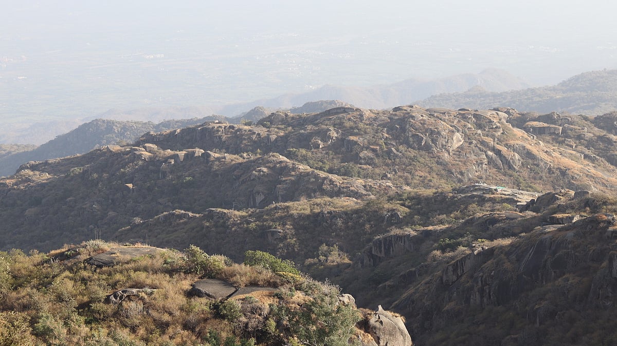 Environment Day: PM Modi to Launch Aravalli Land Restoration Project on ...