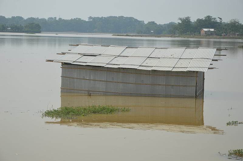 Assam Flood Risk: Satellite Data Shows 10 Districts 50–80% Inundated ...