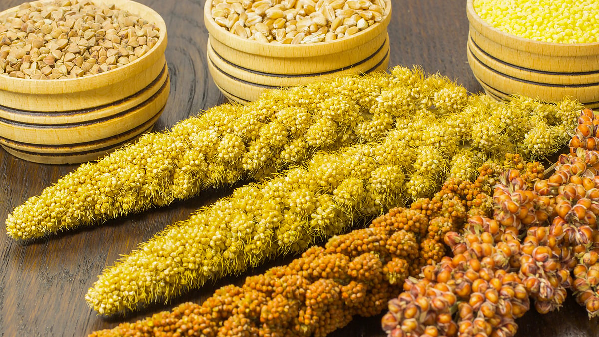 Agri Boost Karnataka: Millet and Oil Units Thrive Under PMFME Scheme ...