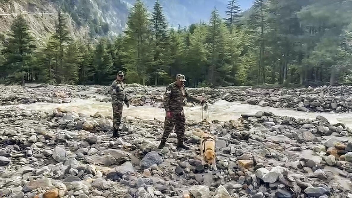Uttarkashi Rescue: 128 More Saved, Army Builds Bridge Over Bhagirathi