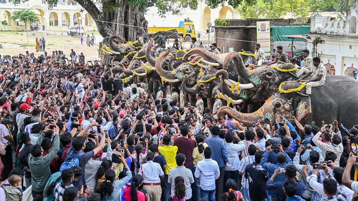 Dasara 2025 Ends: Mysuru’s Majestic Elephants Bid Farewell After Grand ...