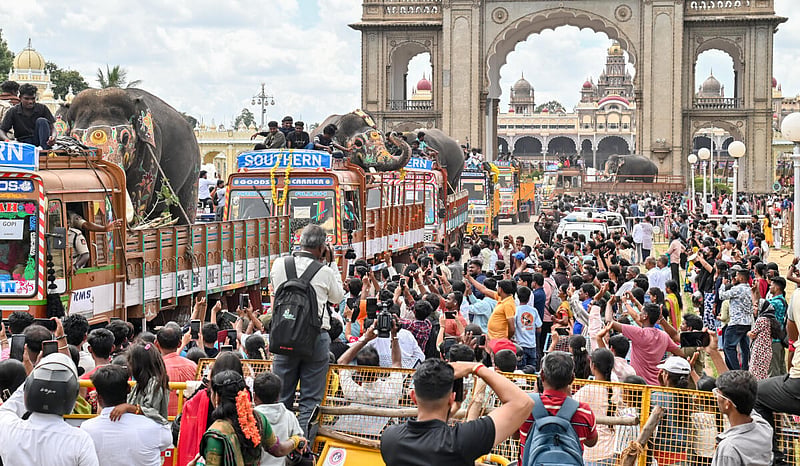 Dasara 2025 Ends: Mysuru’s Majestic Elephants Bid Farewell After Grand ...