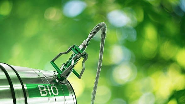 Boost for biodiesel as Karnataka plans fuel pumps at taluk level