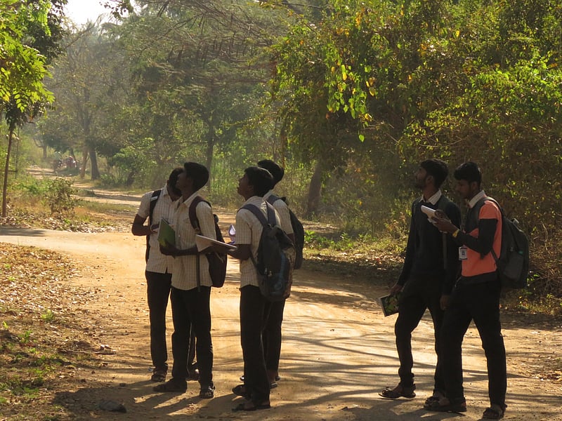 Birdwatching Gubbi: Young Bird Enthusiasts Thrive