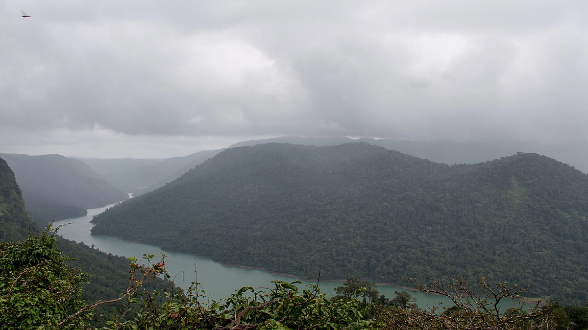 Sharavathi Pumped Storage: NBWL Panel Recommends Rejection over ...