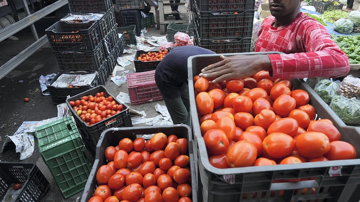 Bengaluru Crime News: Vegetable Vendor Arrested| Murder Accused Vendor ...