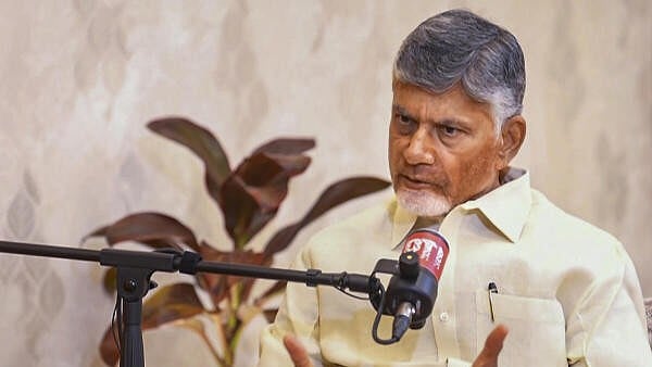 Chandrababu Naidu bets on 'Brand Naidu' to reignite investor confidence ...