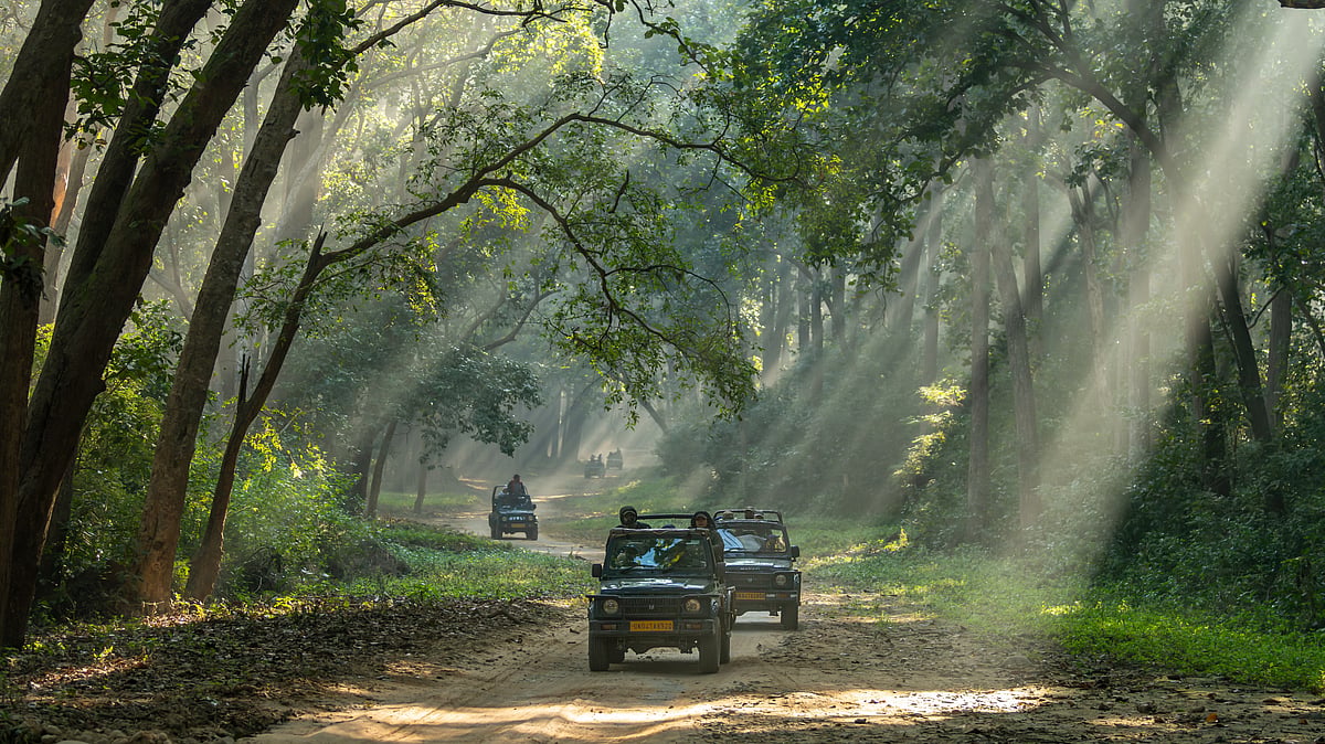 SC Orders Uttarakhand to Restore Jim Corbett Reserve