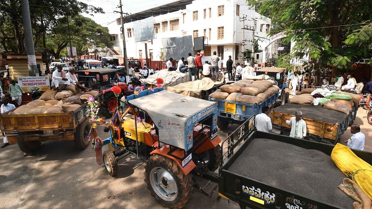 Karnataka MSP Protest: Black Gram Farmers Rally in Dharwad