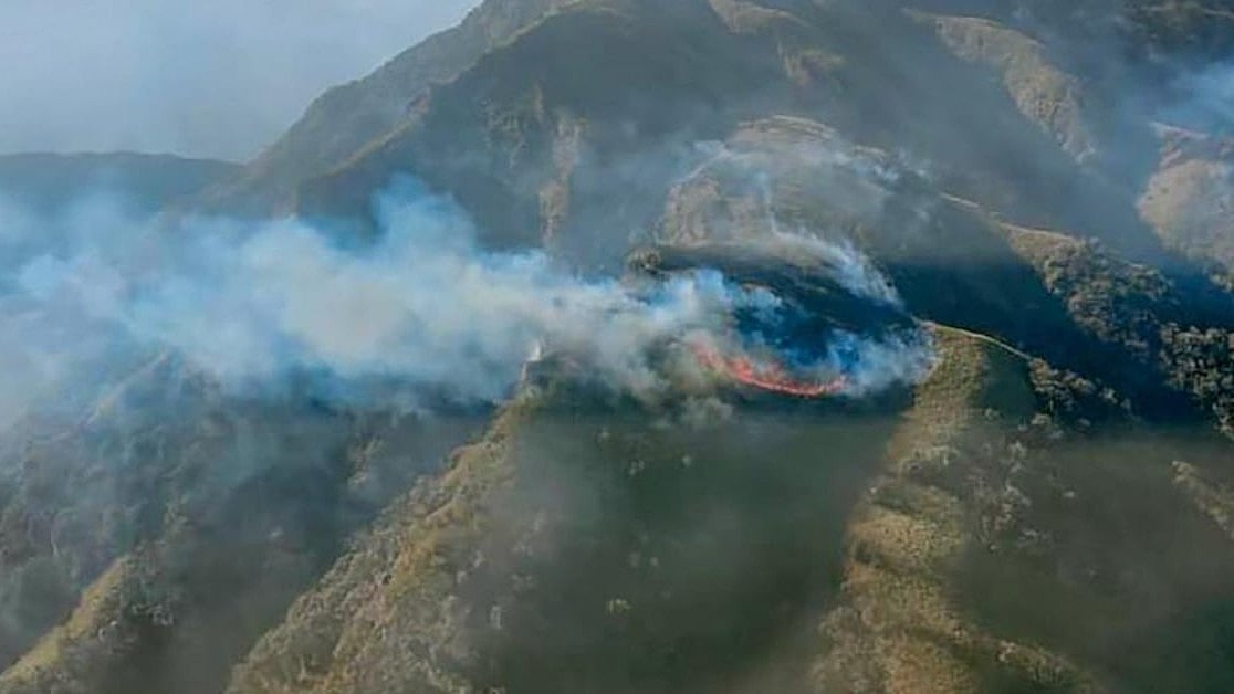 Dzukou Valley Wildfire: Major Blaze Reported in Nagaland