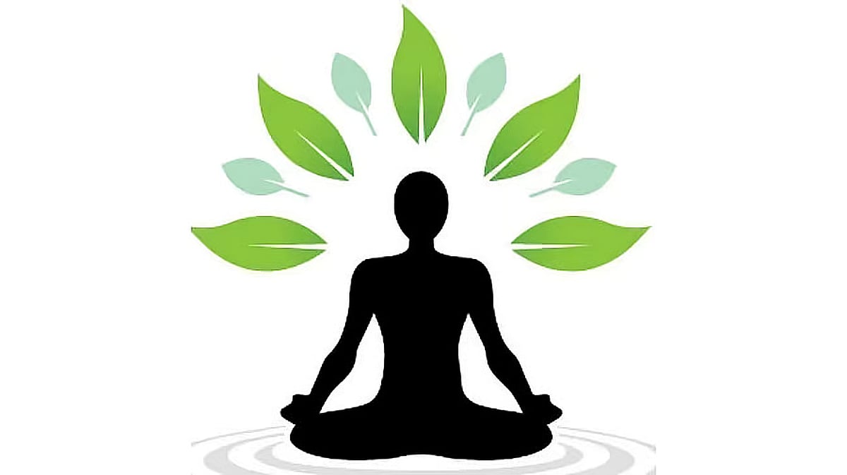 Embracing Mortality: Understanding Death's Lessons