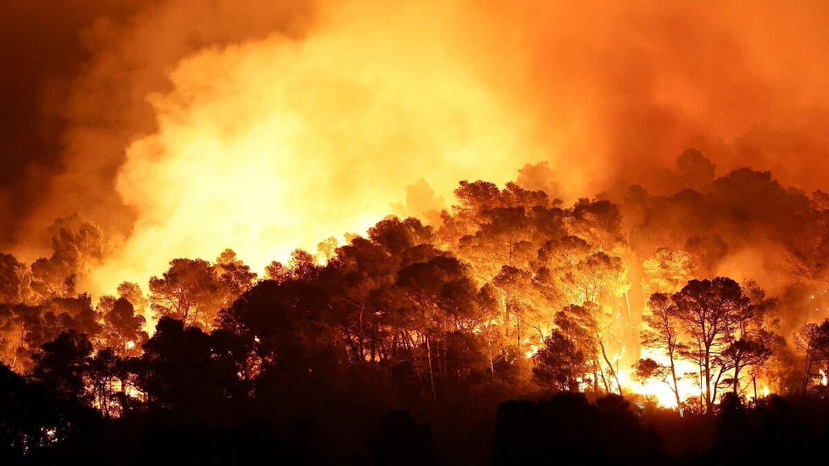 Climate Disasters: Heatwaves, Wildfires Cost $120B by 2025