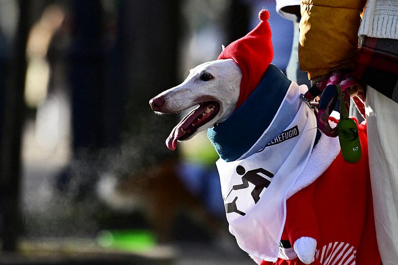 News in Pics | December 31, 2025: Best photos from around the world