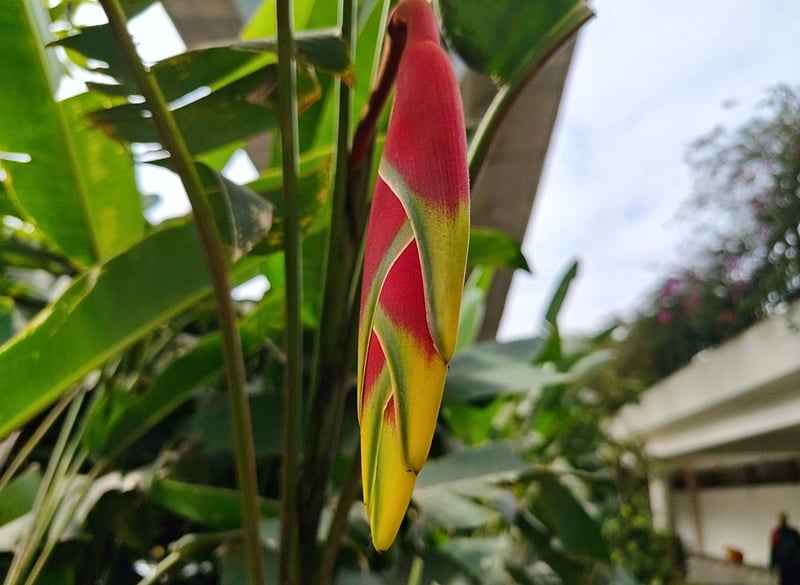 Redmi Note 15 Review: Elegant design, AMOLED display upgrade and more