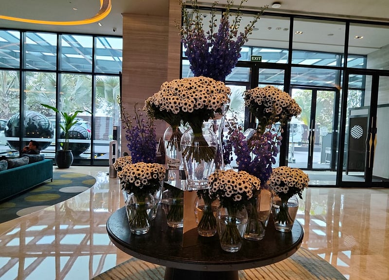 Redmi Note 15 Review: Elegant design, AMOLED display upgrade and more