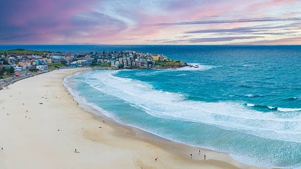 Sydney beaches close after three shark attacks in two days