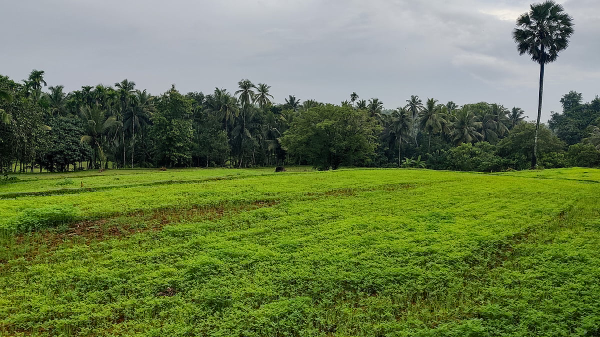 Land Acquisition Rules: MoEF Eases Environment Clearance