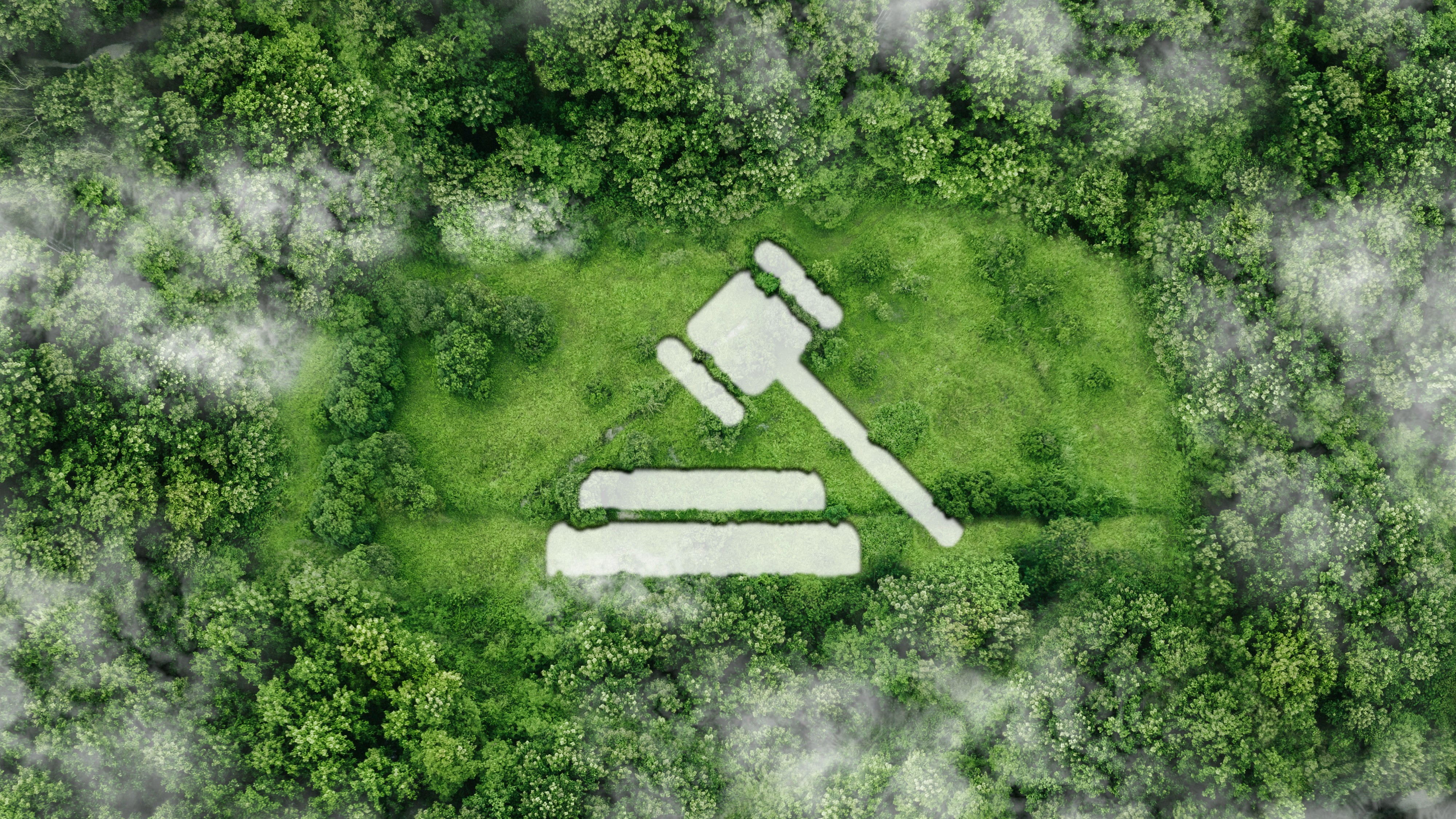 Balancing development and environmental protection in India