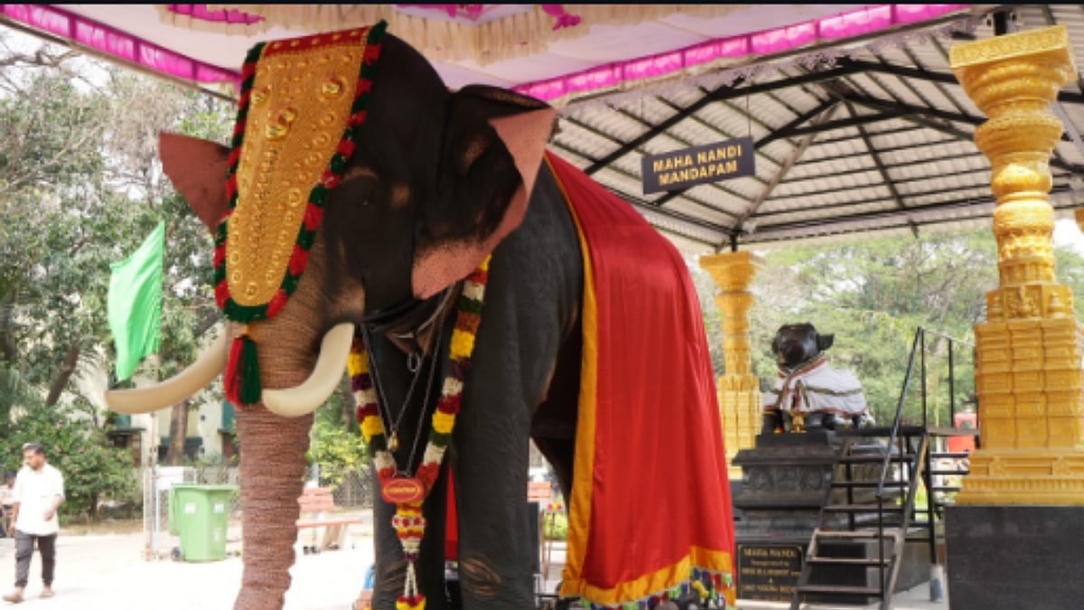 Chennai temple: Mechanical elephant replaces live animals in rituals