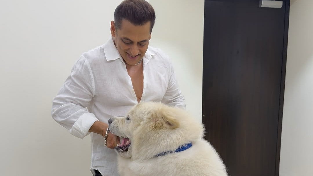 Salman Khan: Actor shares pics with pet dog My Sukh on Instagram, fans ...