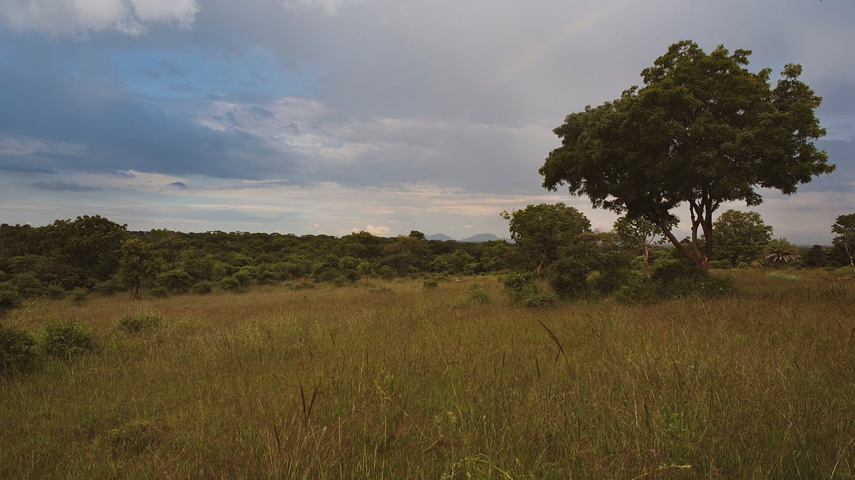 Grasslands India 2026: Centre plans atlas to boost conservation push