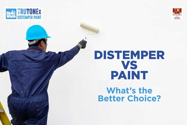 Everything You Need to Know Before Choosing Distemper or Emulsion Paint