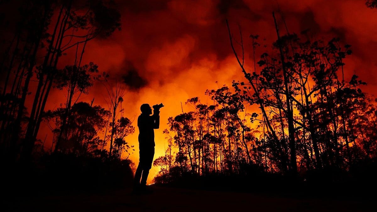 Climate change 2026: 74% animal habitats at risk from extreme events