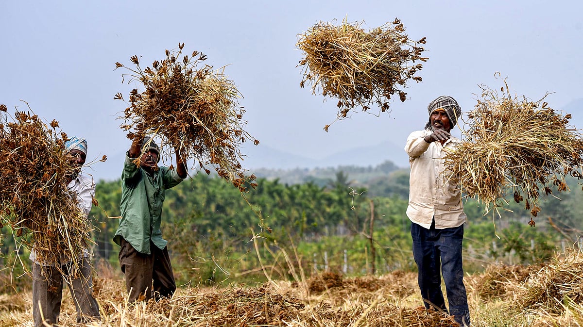 Monsoon risks: Below-normal rains, El Nino threat to India farm output