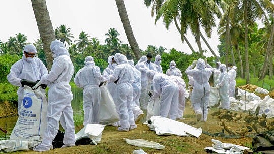 Bird flu outbreak reported in Maharashtra's Navapur, culling operations ...
