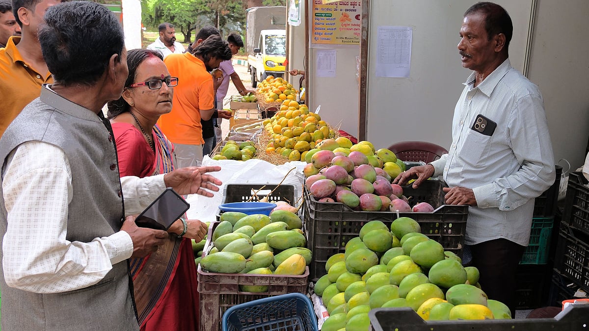 Cubbon Park Mango & Jackfruit Mela 2026: Varieties, Dates & Timing