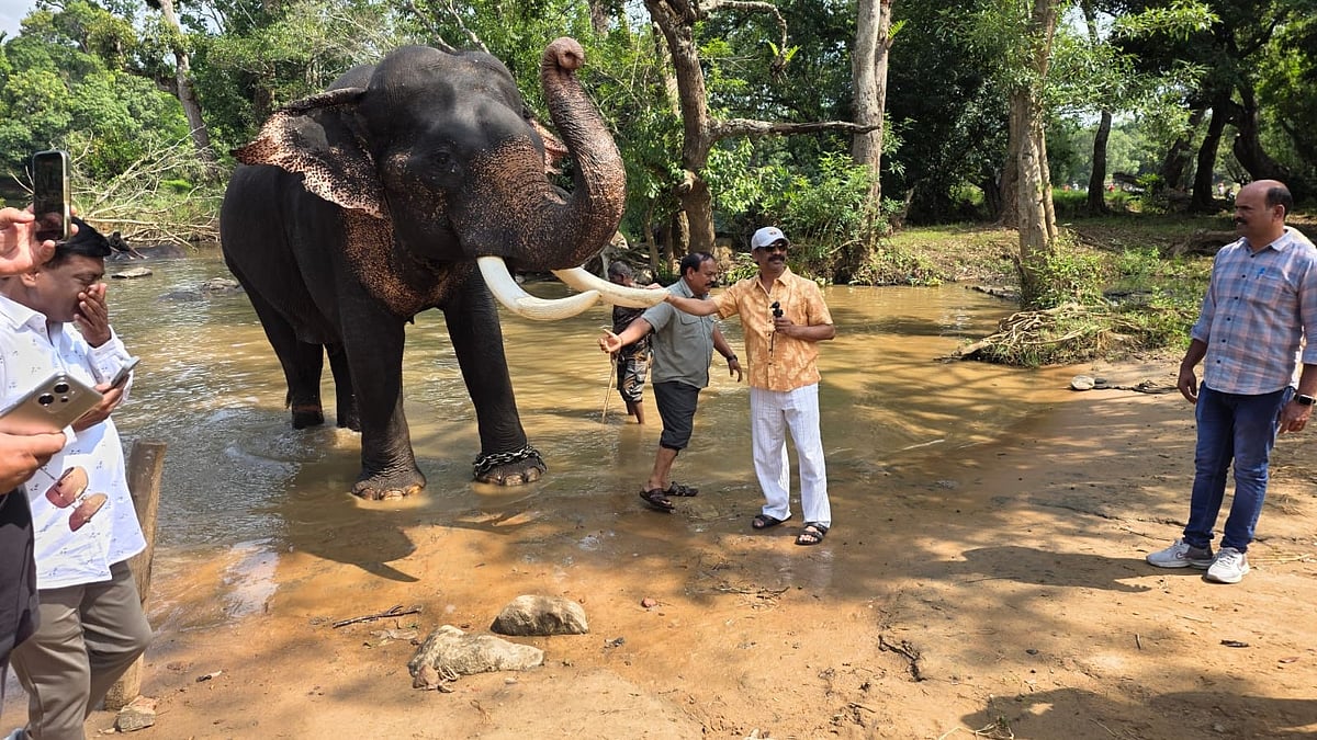 Jharkhand CM Hemant Soren visits Dubare elephant camp with family