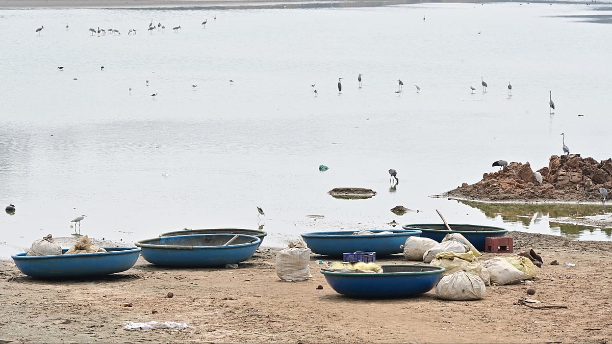 Bengaluru News: Hebbal Lake Wetland to be Ready by June 2026