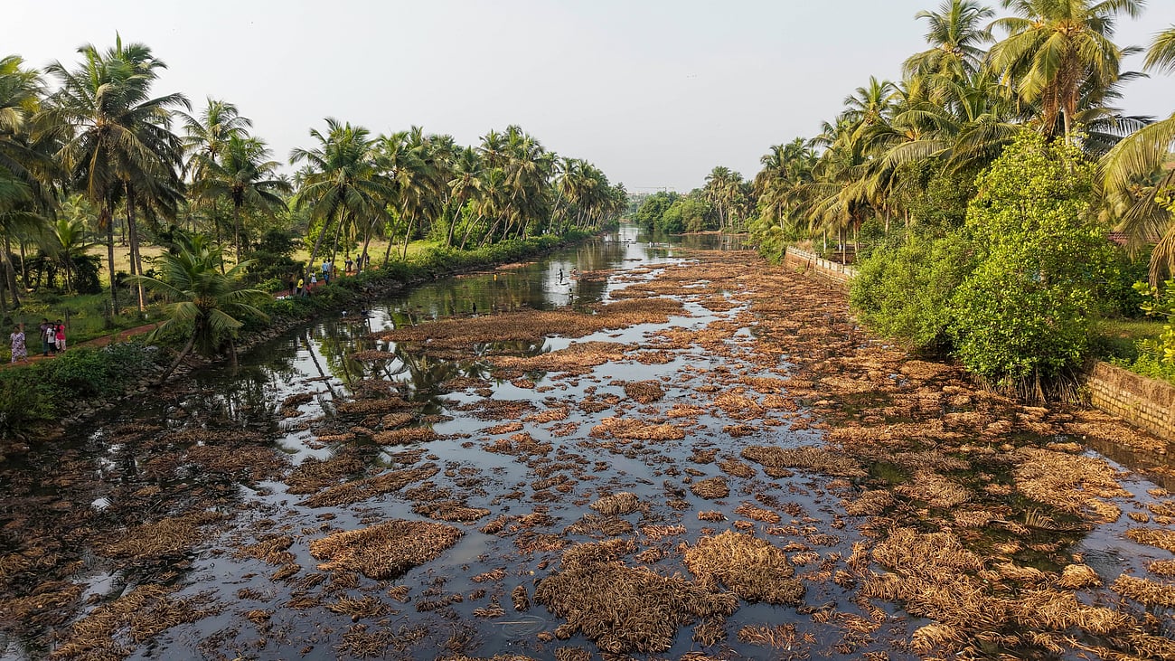 Dakshina Pinakini: River faces crisis from waste dumping and pollution