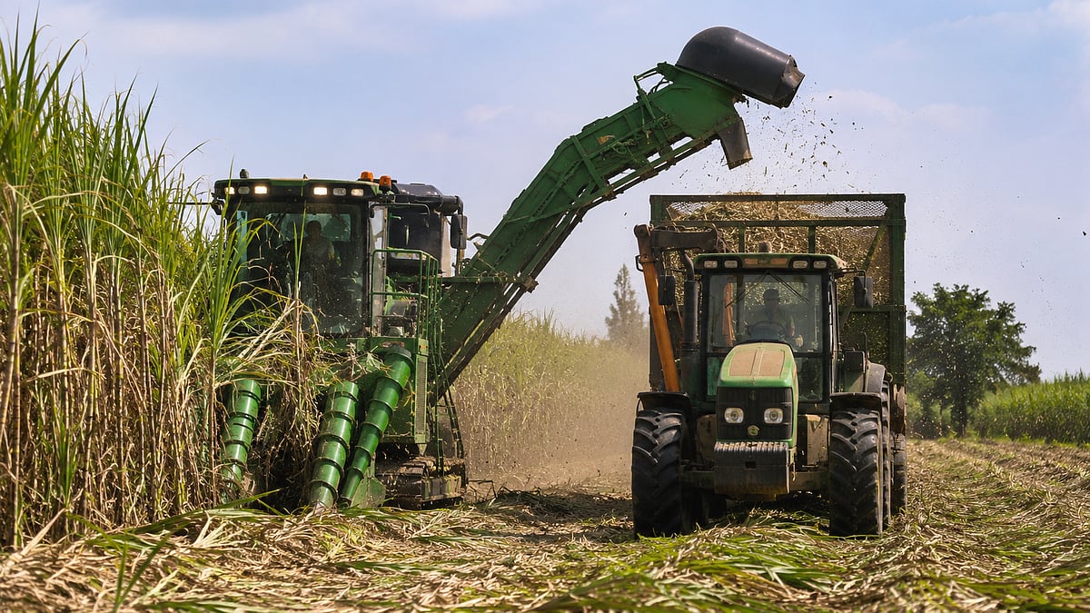 High-Tech Harvest Hubs: Solving Labour Crisis & Boosting Yield