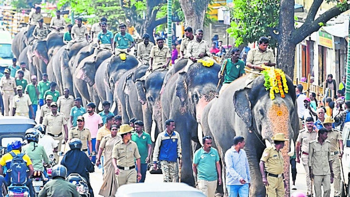 Mysuru: Wildlife experts bat for use of robotic elephants in Dasara ...