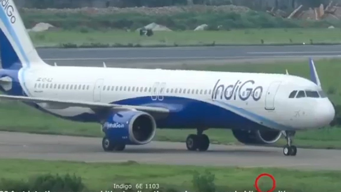 IndiGo pilot: Dhaka runway jackal alert turns into plastic bag scare report