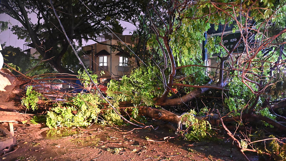 Heavy rain lashes parts of Bengaluru, uproots over 50 trees
