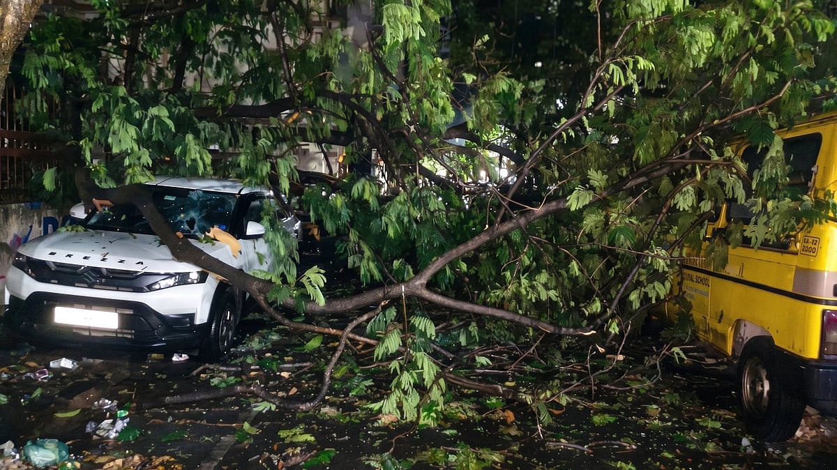 Evening rain blocks roads, knocks down trees across Bengaluru