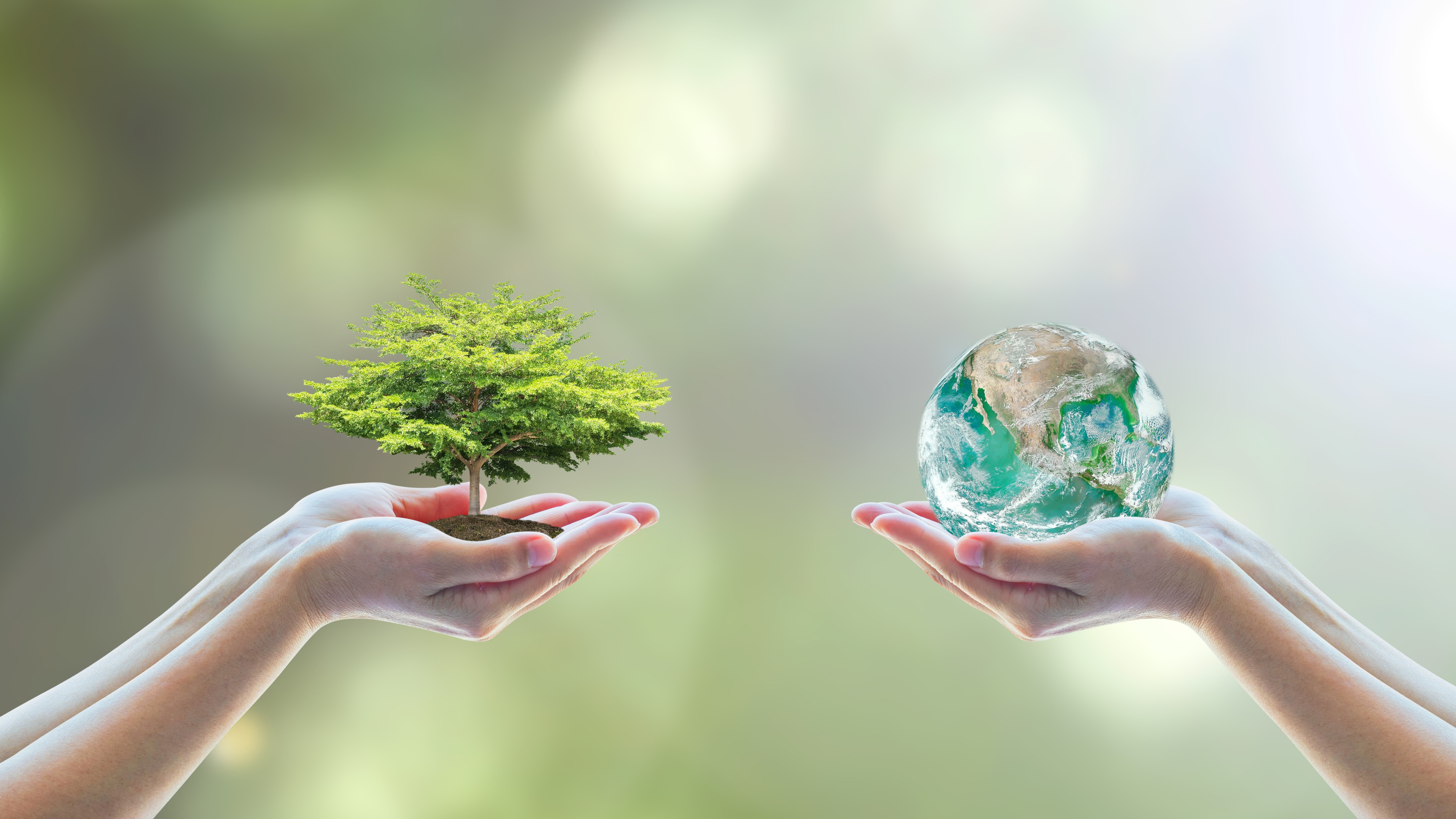 A pause for ecological balance