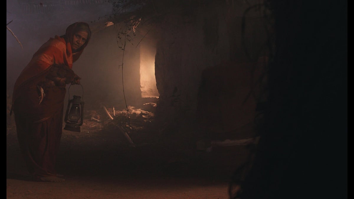 'Sunflowers Were the First Ones to Know' review: When the dark illuminates