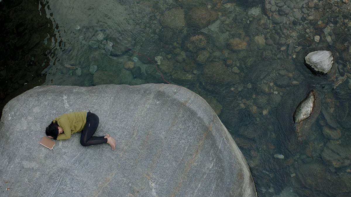 'Shape of Momo' movie review: Reading between the pleats