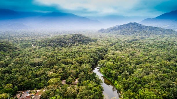 ASI to launch epigraphical study in Nallamala forests to preserve ...